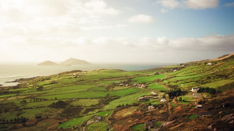 Address Lookup API - Postcoder