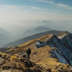 Address Lookup API - Postcoder